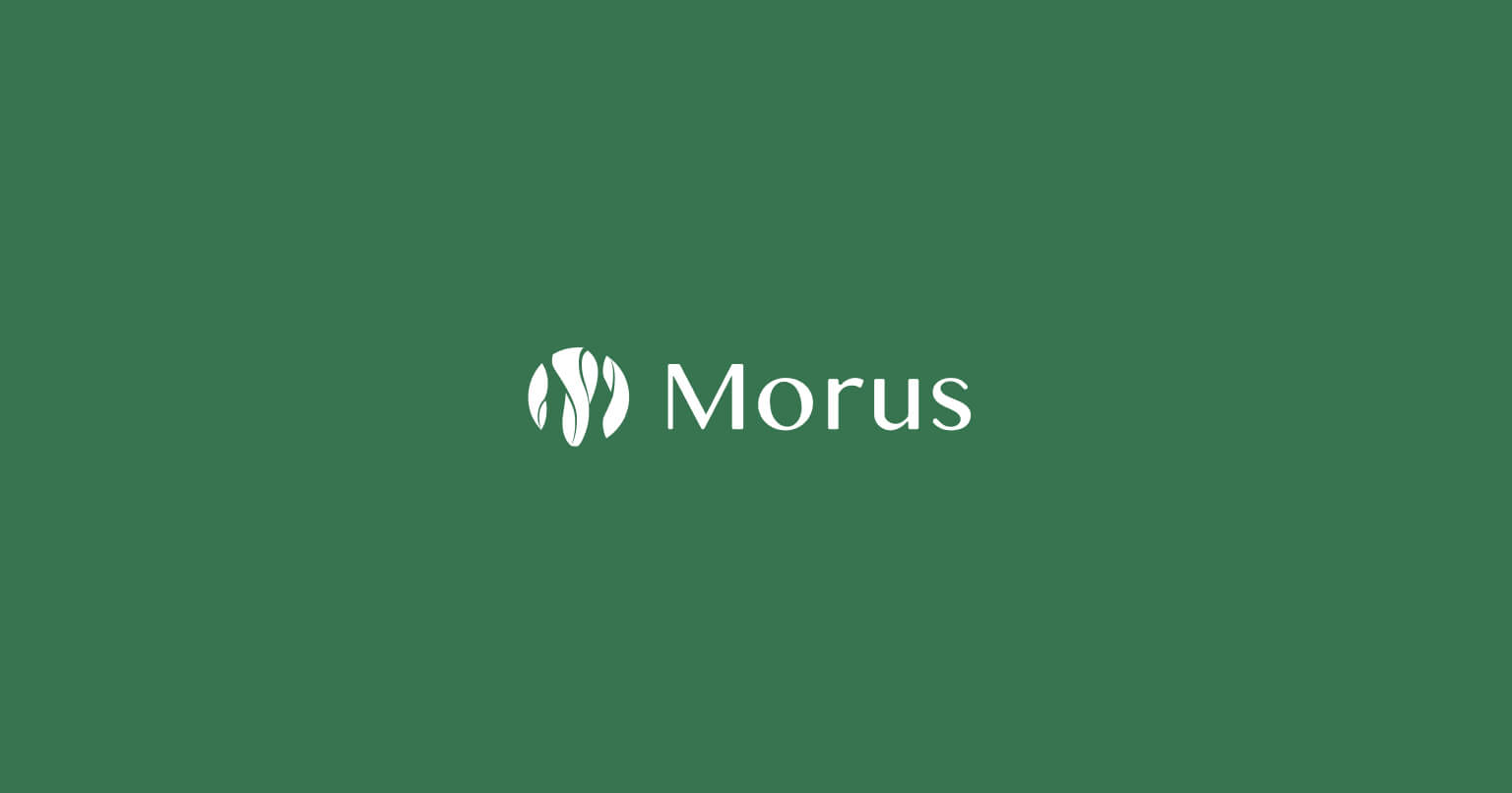 Morus establishes a subsidiary in Singapore - Morus Inc.